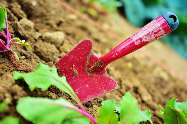 Tutoriel décaissement du sol : comment décaisser son terrain soi-même